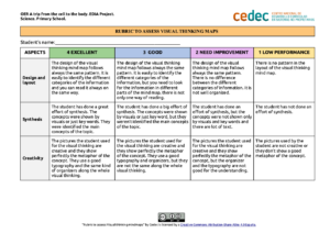 cedec-rubric visual thinking mind map-body | Cedec